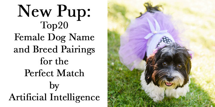 What Is The Name Of A Female Dog