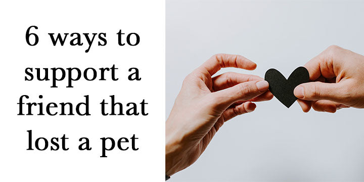 Here are 6 ways that you can help your friend that just lost a pet - My ...