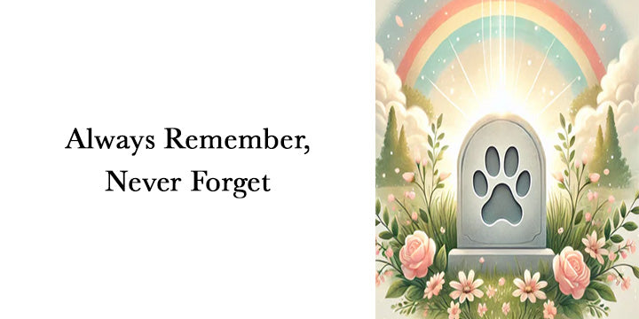 Always Remember, Never Forget – My Furever Memories